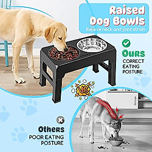 URPOWER Raised Slow Feeder Dog Bowls 4 Height Adjustable Elevated with Stainless Steel Water Bowl and Non-Slip Food Stand for Small Medium Large Dogs Pets