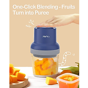 HEYVALUE Baby Food Maker, 13-in-1 Baby Food Processor Sets, Fruit, Vegatable, Meat, Food Puree Blender with Baby Food Containers, Food Freezer Tray, Silicone Spoons, Silicone Spatula (Dark Blue)