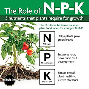 Miracle-Gro Water Soluble Bloom Booster Flower Food, Plant Food for Annual and Perennial Flowers, In-Ground and Container Plants, Roses, Hydrangeas, Hibiscus, 5.5 lb.