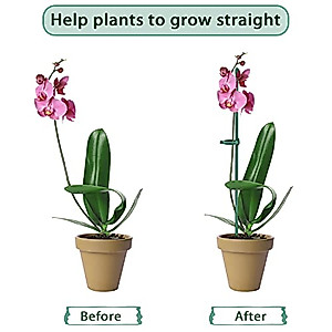 Plant Stakes Green Adjustable Garden Single Stem Plant Support Stakes,19Pcs Plant Support Sticks with Rings for Indoor and Outdoor Plants,Flowers,Tomatoes-16 inches