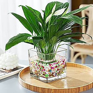 4PCS Square Glass Vase 4"x4" Clear Cube Flower Vase for Wedding Centerpiece Candle Holder Home