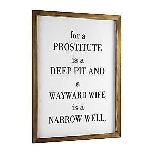 Home Decor Wood Sign for A Prostitute Is A Deep Pit And A Wayward Wife Is A Narrow Well. Framed Wood Sign,Rustic Wall Art Sign 8"x12"