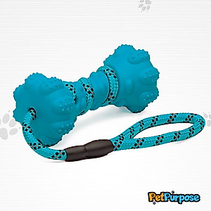 PetPurpose Interactive Dog Toys for Aggressive Chewers, Puppies, and Active Dogs with Rubber Teeth Cleaning Textured Chew Surface and Throw or Tug Rope, Heavy Duty (Blue)