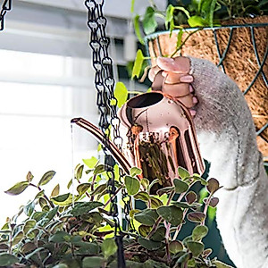 Smouldr Mini Plant Watering Can Indoor: Rose Gold Small Watering Can Helps You Water Tiny House Plants, Succulents, Bonsai or Herb Gardens - Steel Plant Waterer for Miniature Flower Pots - 15 Ounces