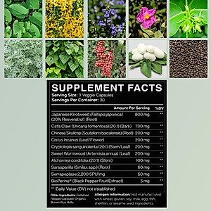 Zenmen Tick Immune Support Supplement - Improved Formula - Japanese Knotweed, Cat's Claw, Chinese Skullcap, Cryptolepis Sanguinolenta, Sweet Wormwood - 90 Vegan Capsules, Made in The USA