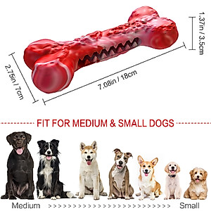 Dog Chew Toys for Aggressive Chewers, Durable Rubber Dog Bones Chew Toys, Interactive Tough Dog Toys for Large Medium Small Dog, Indestructible Dog Toy for Cleaning Teeth and Training (Large)