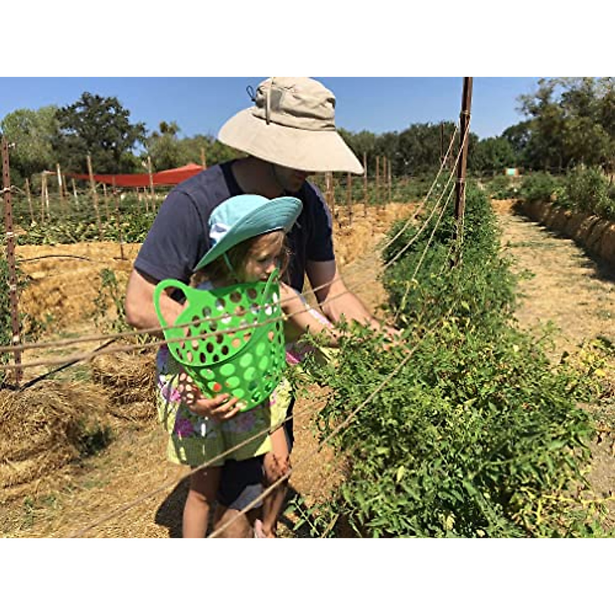 BaleBuster1 100% Organic Bale Conditioning Formula for one Bale Preparation for Straw Bale Garden and Vegetable Garden Planting