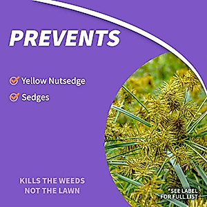 Bonide 069 Sedge Ender Crabgrass & Nutsedge Killer, 16-oz. - Quantity 1