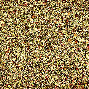 Kaytee Tropical Fruit Treat Jar - Parakeet 11 Ounces