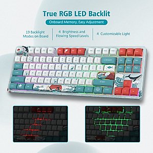 Womier M87 TKL Mechanical Keyboard, Hot Swappable Wireless Gaming Keyboard 87 Keys, RGB Backlit Custom Keyboard Onboard Memory for Windows Mac PC Gamer (Coral Sea, Gateron Red Switch)
