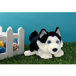 Aurora World Miyoni Black Lying Husky Plush - Super Soft 11" Realistic Stuffed Animal Toy