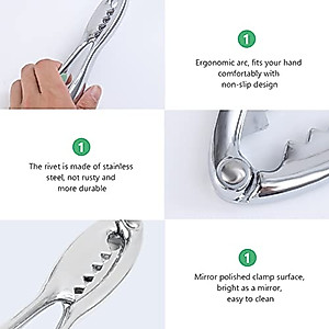 BESTonZON Clips Crackers Crackers Crackers Crackers Stainless Steel Seafood walnut opener sheller crab leg crackers Heavy Duty Nutcracker Tool Household Gadgets Walnut Walnut Nut