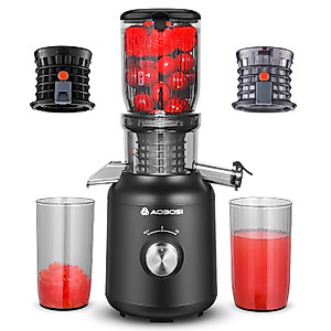 Cold Press Juicer, Aobosi 4.1"Large Feed Chute Masticating Juicer Machines w/ 2 No-Metal Filters, for Whole Vegetable and Fruit, Easy Clean w/Brush, Quiet Powerful Motor for Smooth Extraction (Black)