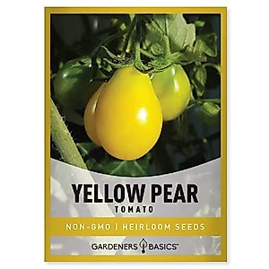 Yellow Pear Tomato Seeds for Planting Heirloom Non-GMO Seeds for Home Garden Vegetables Makes a Great Gift for Gardening by Gardeners Basics