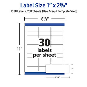 Avery Easy Peel Printable Address Labels with Sure Feed, 1" x 2-5/8" Customizable Stickers, White, 15,000 Blank Mailing Labels, Great for Mailing, Shipping, and More (2-Pack of 5960)
