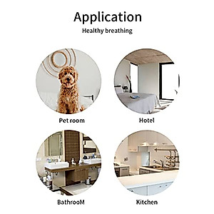 The Air Genie GL-130 - Indoor Mini Plug in Portable Air Cleaner - Negative Ion - Improve indoor air quality - Low noise - Low energy - Easy to use - Grey, 106 * 66 * 50 mm