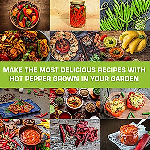 10 Most Popular Hot Peppers Seeds Varieties - USA Grown - 500+ Non-GMO Heirloom Seeds Pack for Planting Home Garden Indoor and Outdoor - Anaheim, Cayenne, Habanero & More