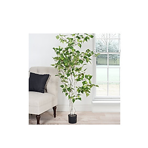 Pure Garden Birch Artificial Tree - 60-Inch Potted Faux Plant with Natural Looking Leaves for Office or Home Decor - Realistic Indoor Fake Plants