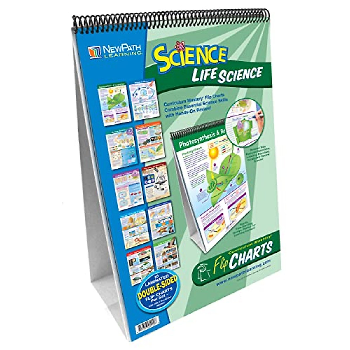 NewPath Learning 10 Piece Mastering Middle School Life Science Curriculum Mastery Flip Chart Set, Grade 5-9 Multi, 12 L X 18 W in
