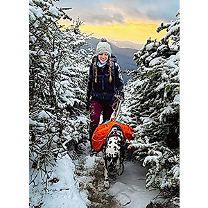 baleaf Leggings for Women Fleece Lined Thermal Warm Winter Tights High Waisted Thick Yoga Pants Cold Weather Inner Pocket Ruby Wine S