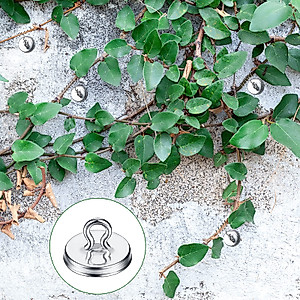 80 Pieces Trellis Anchor Plant Anchors Wall Climbing Plant Anchors Vine Trellis Anchor Plant Trellis System Kits for Trellis Vine and Wall Climbing Plants Supplies