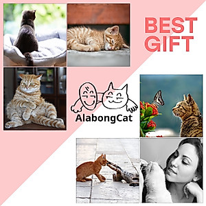 AlabongCat Catnip Toys Set – 3-Piece Set with Chicken Kitty Toy and Cat Teasers – Funny and Entertaining Catnip Toy – Stimulating and Interactive Indoor Cat Toys (Chicken Catnip Toy and Cat Teasers)