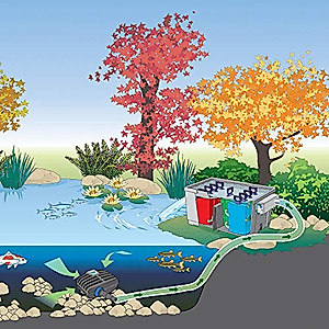 OASE BioSmart 10000 Pond Filter