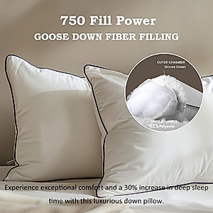 Nightmare Before Christmas Fabric Jack Skellington and Sally Zero Purple Graveyard Cemetery Scenic Sold by Fat Quarter (18" X 22") New BTFQ