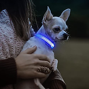 Visinite Light Up Dog Collars for Small Dogs,LED Dog Collar Light Rechargeable,Fully Adjustable Lighted Dog Collar,Glow in The Dark Dog Collars with Dog Lights for Night Walking,Blue