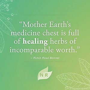 Nature's Rite Sinus Relief™, 1.5 oz. (45 mL) – All-Natural Nasal Sinus Spray – Relief for Sinus Problems – Encourages a Healthy Sinus System – Easy-to-Use, Portable Sinus Support – Made in USA