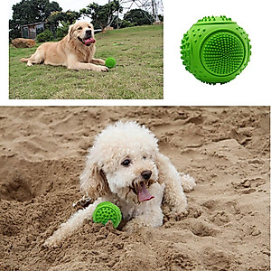 Ball Toy Molar Ball Tooth Grinding Toy Rubber Chew Toy for Pet Dog (Size L 7.5cm)