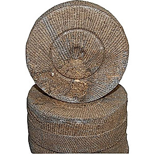 100 Count- Jiffy 30 MM Peat Soil Pellets Seeds Starting Plugs: Indoor Seed Starter- Start Planting Indoors for Transplanting to Garden or Planter Pot