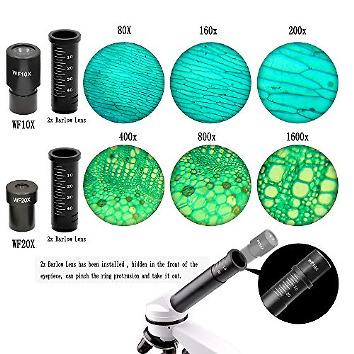 Starboosa Microscope 80X-1600X for Kids Beginners Lab Compound Monocular Microscopes with Optical Glass Lenses & LED Illumination - Microscope with Smartphone Adapter for Kids Beginner