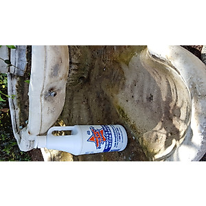 Bring It On Cleaner Water Spot Remover Plus 5 Inch Cleaning Drill Scrub Brush, Cleaning Drill Scrub Brush, Cleaning Brush for Drill, Drill Brush Attachment (16 oz)