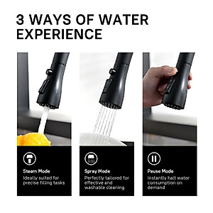 WEWE Black Kitchen Faucet, Kitchen Faucets with Pull Down Sprayer Commercial Stainless Steel Single Handle Single Hole Kitchen Sink Faucet for Farmhouse Camper Laundry Rv Bar