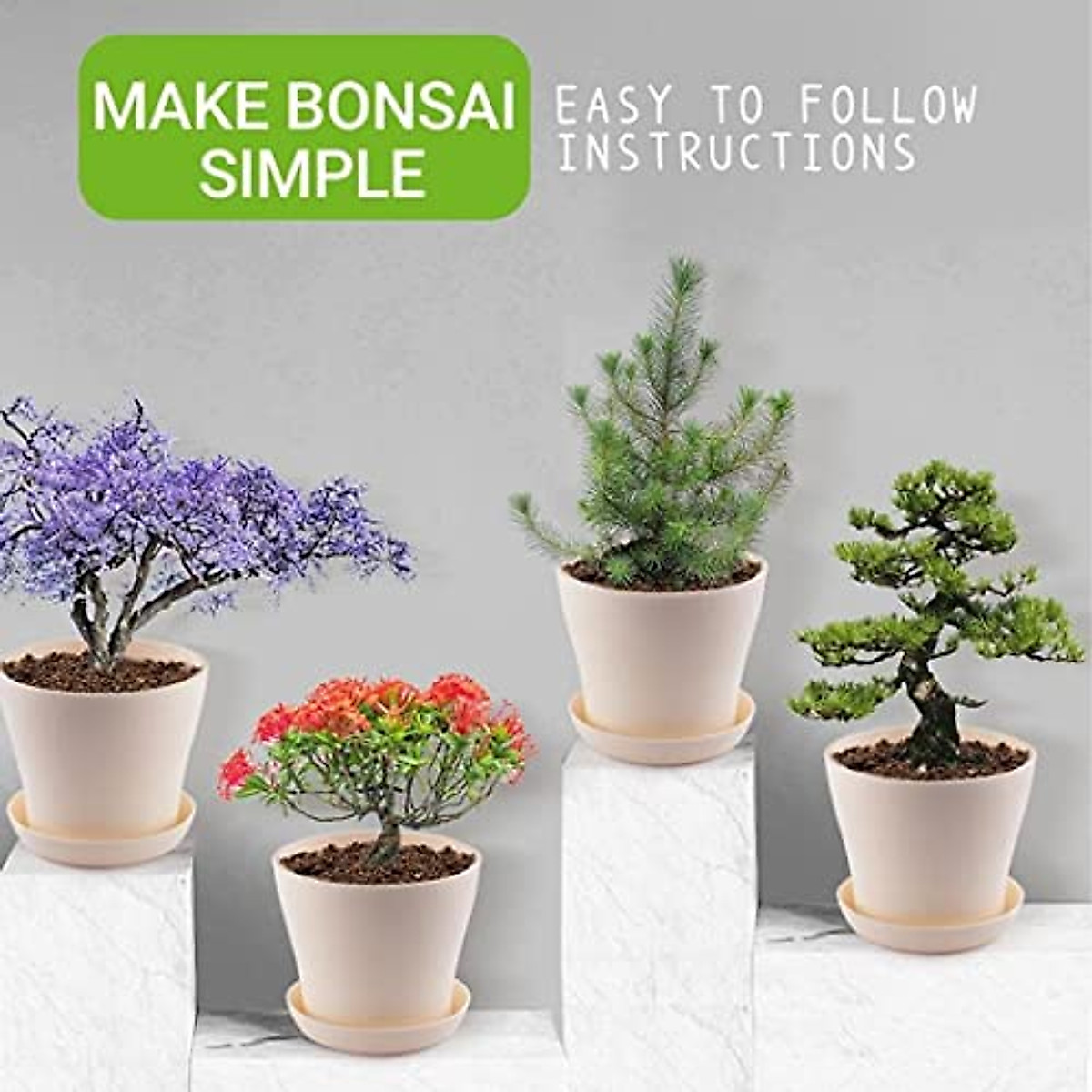 DORAKCI Bonsai Tree Kit - Gardening Gift for Men & Women - Bonsai Tree Growing Garden Crafts Hobby Kits for Adults - Room Decor - Bonsai Tree for Beginners - Crafts for Adults