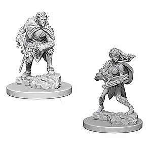 D&D Nolzur's Marvelous Miniatures: Drow