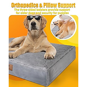 MASTERY MART Anti Anxiety Dog Bed for Medium Dogs Clearance, Dog Crate Bed, Waterproof Dog Bed, chew Proof Orthopedic Pet Bed with Washable Cover and Nonskid Bottom - L Grey