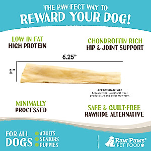 Raw Paws Lamb Rawhide Treats for Dogs, 1-lb - Packed in USA - Natural Lamb Dog Treats sourced from Free-Range, Grass-Fed Sheep - Lamb Hide Sticks for Dogs - Large Dog Lamb Treats & Puppy Chew Sticks