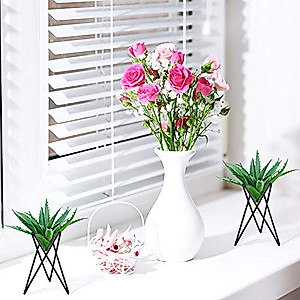 6 Pieces Air Plant Holder Black Metal Tabletop Air Plant Stand Rack Air Fern Display Stand for Home, Office and Wedding Decoration