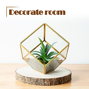 OBTANIM 5 Pcs Natural Wood Slices 6-7 Inch Large Unfinished Round Wooden Circles with Tree Bark for Table Centerpieces DIY Painting Crafts Wedding Christmas Ornaments