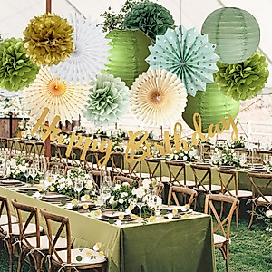 Olive Sage Green Birthday Party Decorations Green Gold Paper Pom Poms Streamers Paper Fans Lanterns Sage Green Gold Scatter Table Decorations for Birthday Wedding Bachelorette Bridal Baby Shower