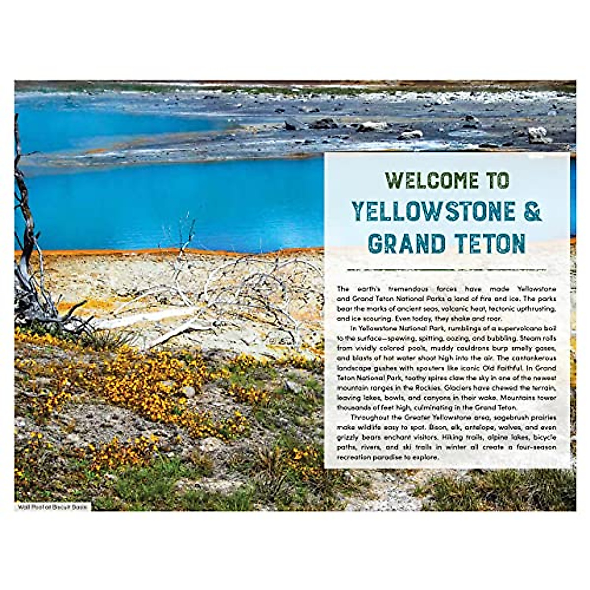 Moon Best of Yellowstone & Grand Teton: Make the Most of One to Three Days in the Parks (Travel Guide)