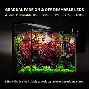 ONF Flat Nano+ 20-inch APP Remote Control Freshwater LED Aquarium Light, Timer Dimmable Day & Night Cycle, 2-9 Gallon Rimless Fish Tank, Terrarium Light for Potted Plant and Succulent IP54 Waterproof