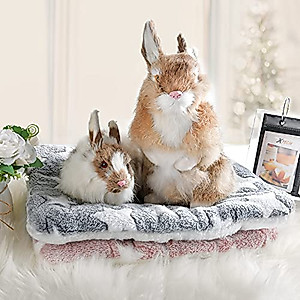 catadog Small Animal Bed Mat, Soft & Warm, Suitable for Guinea Pig, Hamster, Rabbit, Rat and Bearded Dragon (X-Large(13.3''x9.4''), Star Grey)