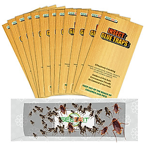 30 PCS Cricket Traps Indoor for Trapping Insects, Mice, Spiders, Bugs, Crickets, Scorpions, Roaches, Super Sticky & Non-Toxic Glue Board Pre-Baited with Fruity Scent Attractant - 9.5 x 3.15 in