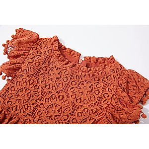 Niyage Toddler Girls Elegant Lace Pom Pom Flutter Sleeve Party Princess Dress Brick Red 100