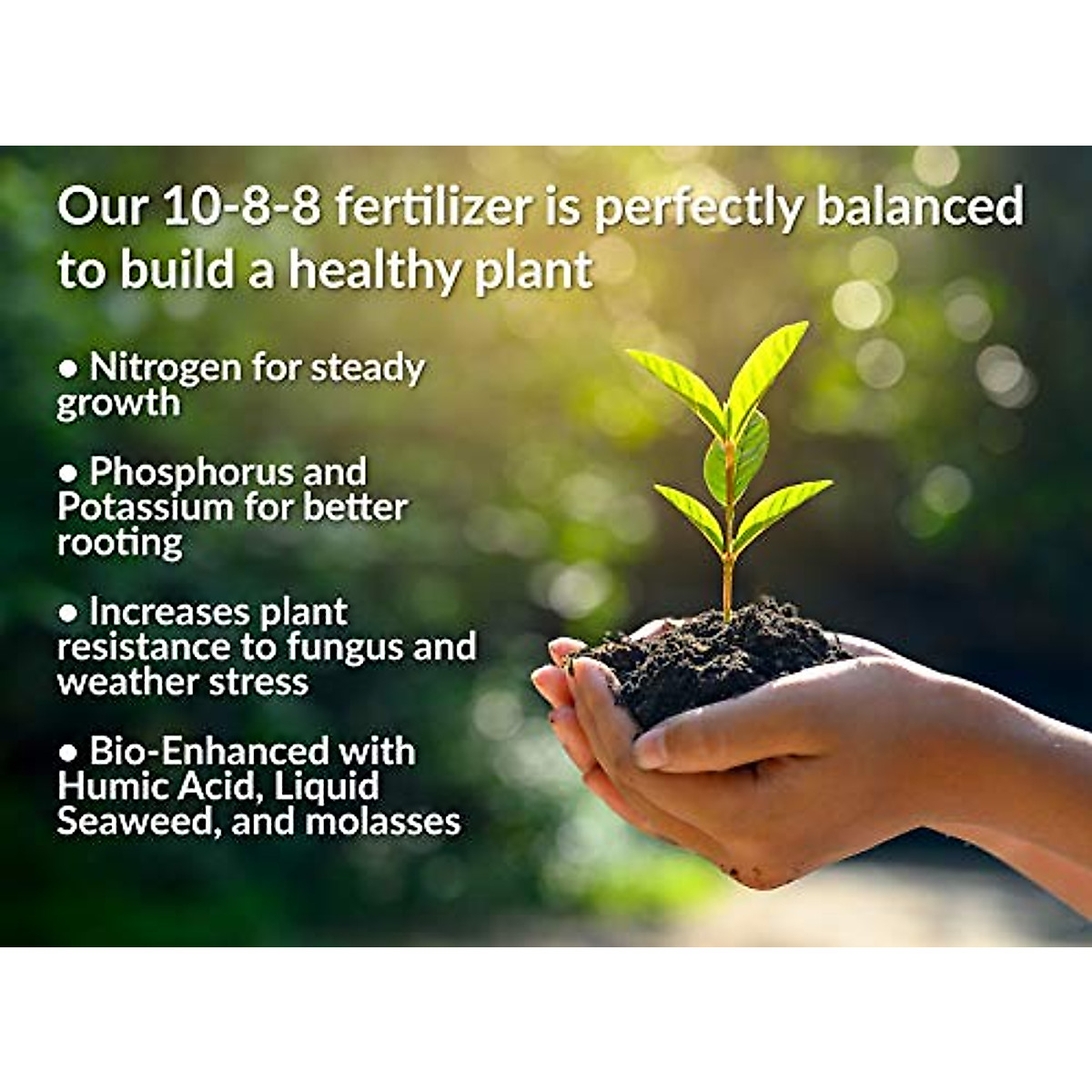 Nature’s Lawn & Garden - Bio-Enhanced 10-8-8 All Purpose Plant Food - Balanced Fertilizer w/Humic & Fulvic Acid, Kelp, Molasses - for Garden, Trees, Shrubs, Houseplants - Non-Toxic, Pet-Safe, 1 Gal