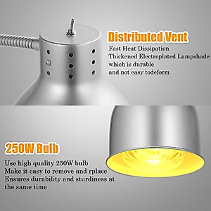 FRYPLS Food Heat Lamp,500W Commercial Grade Adjustable 2-Head Warmer Warming Light with 3- Bulbs,Stainless Free-Standing Catering Heating Lamp for Kitchen Cafeteria Restaurant Buffet