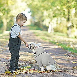 meioro Dog Hoodies Soft and Warm Dogs Tee Shirt, Winter Pet Sweater with Pocket Zipper Cat Clothing Suitable for Small and Medium Pets Dog Coat Dog Jacket Dogs Clothes (XX-Large, Grey)